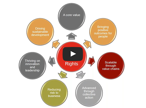 Insight on the SDGs and Human Rights - SDG Business Hub