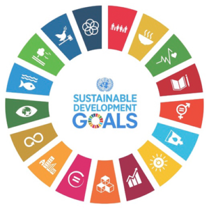 The SDG Tracker - SDG Business Hub
