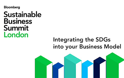 Integrating the SDGs into your Business Model - SDG Business Hub