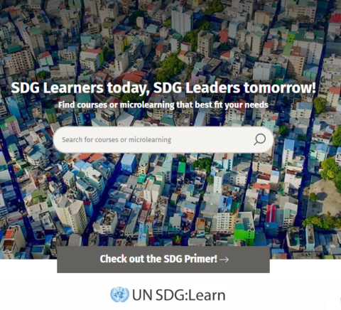 UN SDG:Learn - SDG Business Hub