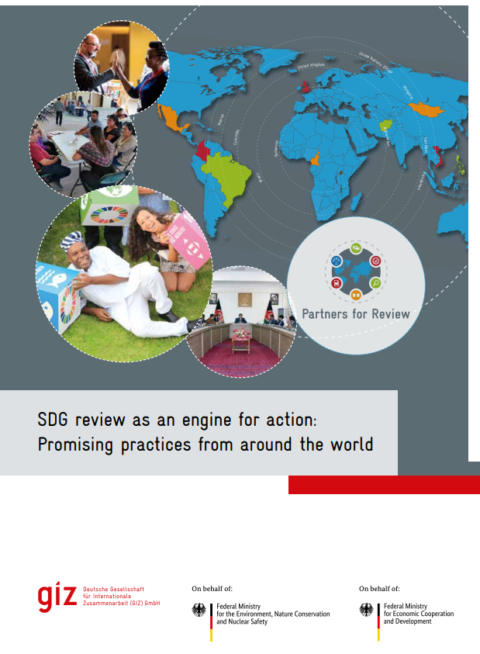 SDG review as an engine for action: Promising practices from around the ...